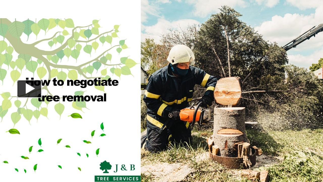 PPT – How to negotiate tree removal? PowerPoint presentation | free to ...