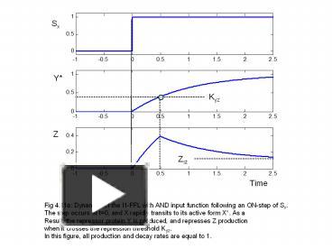 PPT – Kyz PowerPoint presentation | free to download - id: 9d348-N2YyO