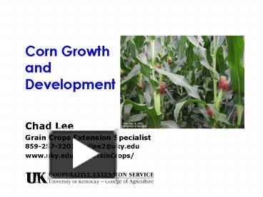 Corn Growth and Development presentation | free to view