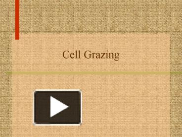 PPT – Cell Grazing PowerPoint presentation | free to view - id: a41f9-YTNiM