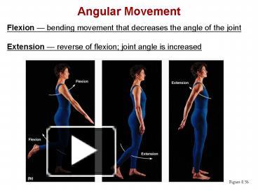Angular Movement presentation | free to view