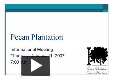 Pecan Plantation presentation | free to download