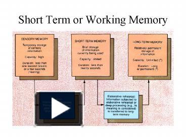 PPT – Short Term or Working Memory PowerPoint presentation | free to ...