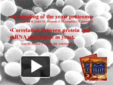 Yeast presentation | free to download