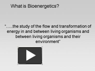 PPT – Bioenergetics Model PowerPoint presentation | free to view - id ...