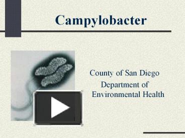 PPT – Campylobacter PowerPoint presentation | free to view - id: ab338 ...