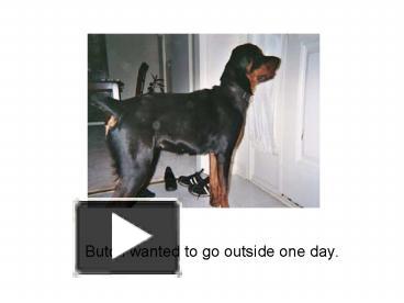 PPT – Butch wanted to go outside one day. PowerPoint presentation ...
