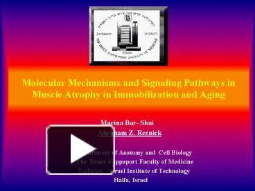 Molecular Mechanisms and Signaling Pathways in Muscle Atrophy in ...