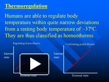 Thermoregulation presentation | free to view