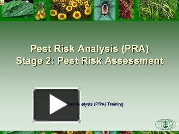 Pest Risk Analysis PRA Stage 2: Pest Risk Assessment presentation ...