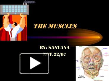 PPT – The Muscles PowerPoint presentation | free to view - id: ad8e5-MzU2M