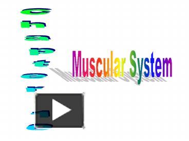 PPT – Muscular System PowerPoint presentation | free to download - id ...