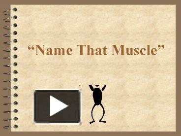 PPT – Name That Muscle PowerPoint presentation | free to view - id ...