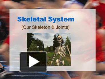 PPT – Skeletal System PowerPoint presentation | free to view - id ...