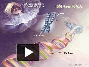 PPT – DNA and RNA PowerPoint presentation | free to view - id: ade70-NjIzM