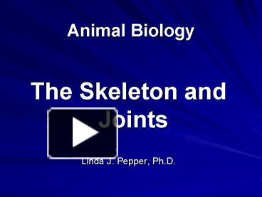 Animal Biology presentation | free to view