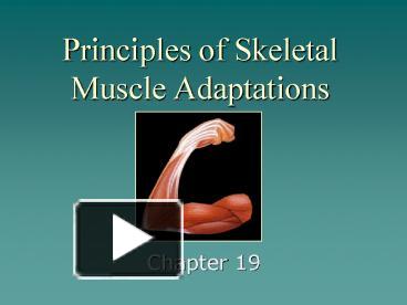 PPT – Principles of Skeletal Muscle Adaptations PowerPoint presentation ...