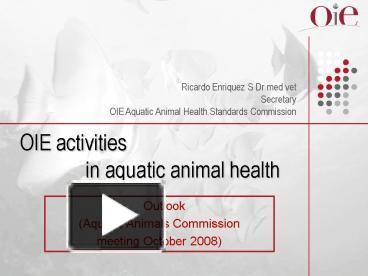 PPT – OIE activities PowerPoint presentation | free to view - id: ae6cd ...