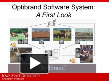 PPT – Optibrand Software System: A First Look PowerPoint presentation ...