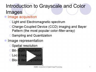 Introduction to Grayscale and Color Images presentation | free to view