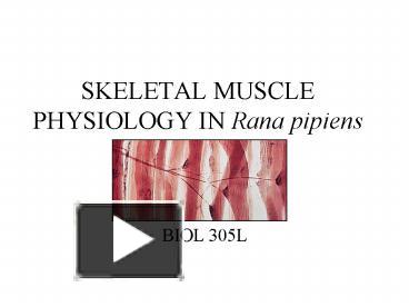 SKELETAL MUSCLE PHYSIOLOGY IN Rana pipiens presentation | free to view