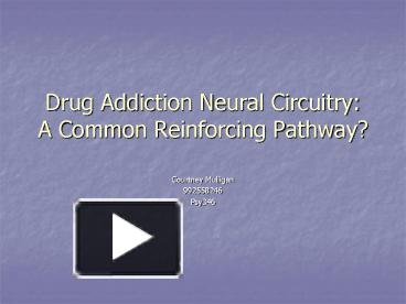 PPT – Drug Addiction Neural Circuitry: A Common Reinforcing Pathway ...