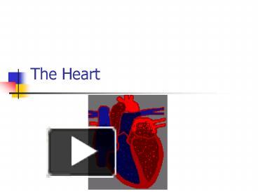 PPT – The Heart PowerPoint presentation | free to view - id: b47dc-YTYwN