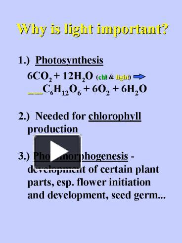 Why is light important? presentation | free to download