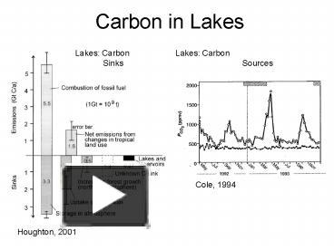 Carbon in Lakes presentation | free to view