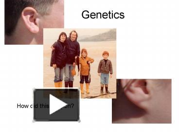 PPT – Genetics PowerPoint presentation | free to view - id: b9c5f-ZWQwM