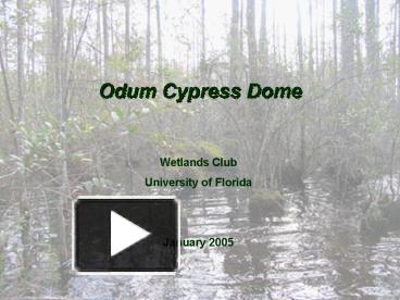 Odum Cypress Dome presentation | free to view