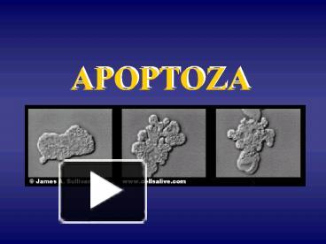 APOPTOZA presentation | free to download