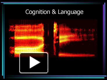 PPT – Cognition PowerPoint presentation | free to view - id: c05e0-ZDc1Z