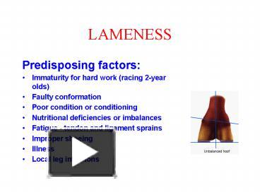 LAMENESS presentation | free to view