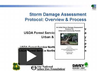 PPT – Storm Damage Assessment Protocol: Overview PowerPoint ...