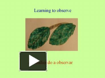 PPT – Learning to observe PowerPoint presentation | free to download ...