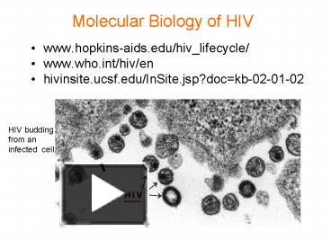 PPT – Molecular Biology of HIV PowerPoint presentation | free to view ...