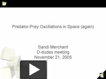 PPT – Predator-Prey Oscillations in Space (again) PowerPoint ...