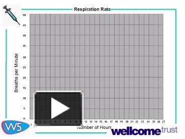 Respiration Rate presentation | free to view