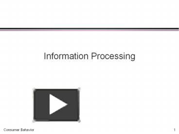 PPT – Information Processing PowerPoint presentation | free to download ...
