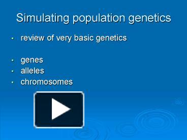 PPT – Simulating population genetics PowerPoint presentation | free to ...
