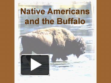 Native Americans and the Buffalo presentation | free to view