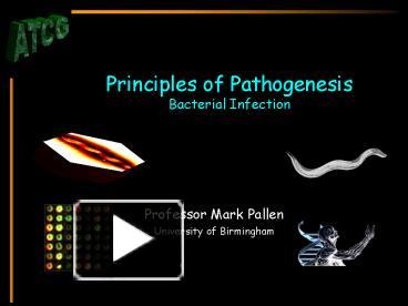 Principles of Pathogenesis Bacterial Infection presentation | free to view