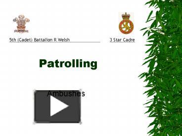 Patrolling presentation | free to view
