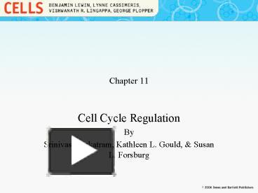 PPT – Cell Cycle Regulation PowerPoint presentation | free to download ...