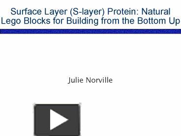 PPT – Surface Layer Slayer Protein: Natural Lego Blocks for Building ...