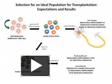 PPT – MIXED POPULATION PowerPoint presentation | free to view - id ...