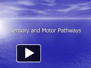 Sensory and Motor Pathways presentation | free to view