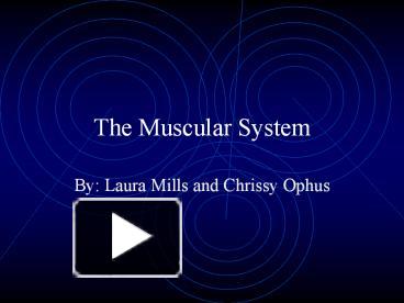 PPT – The Muscular System PowerPoint presentation | free to view - id ...