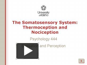 The Somatosensory System: Thermoception and Nociception presentation ...